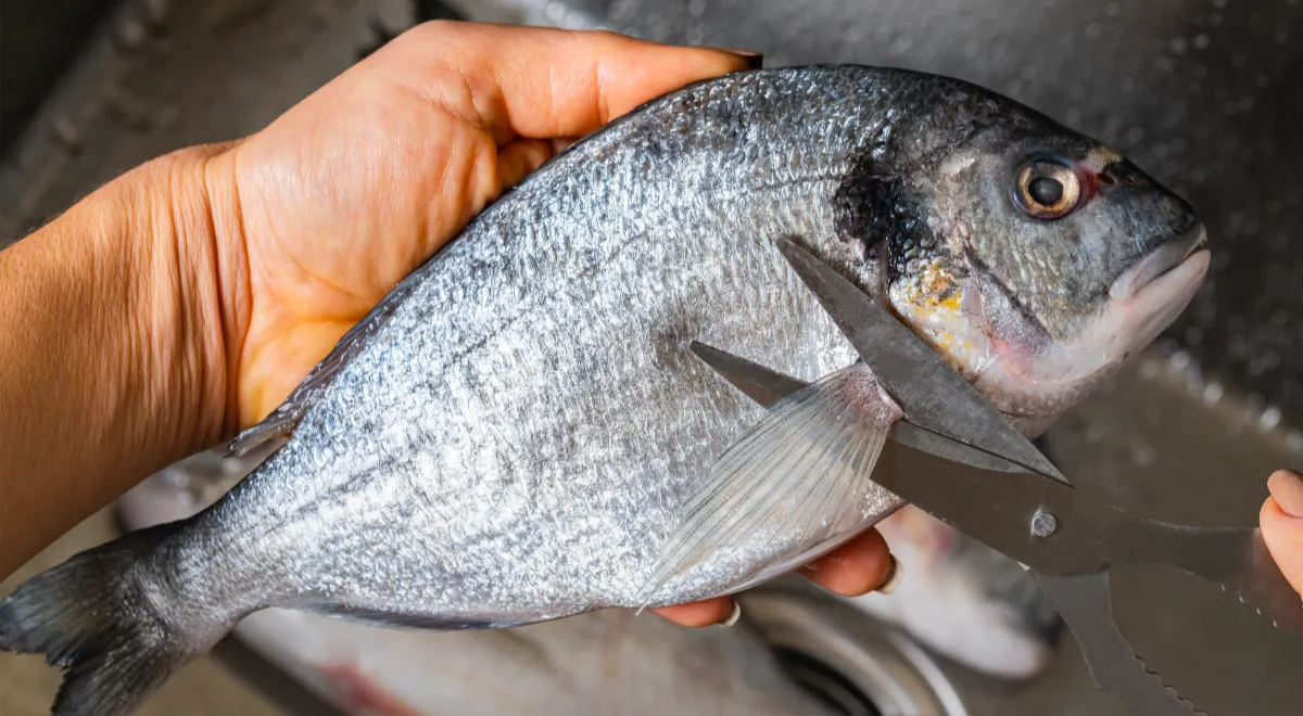Fish Preparation Using Kitchen Scissors